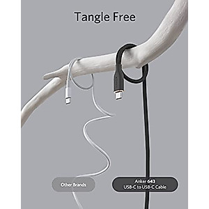 Anker USB-C to USB-C Cable, 643 Cable 100W 6ft, USB 2.0 Type C Charging Cable Fast Charge for MacBook Pro 2020, iPad Pro 2020, iPad Air 4, iPad Mini 6, Galaxy S21, Pixel, Switch (Midnight Black)