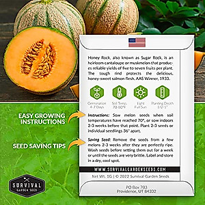 Survival Garden Seeds - Honey Rock Melon Seed for Planting - Packet with Instructions to Plant and Grow Sweet Delicious Cantaloupe Fruit in Your Home Vegetable Garden - Non-GMO Heirloom Variety