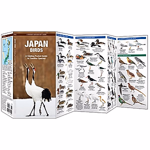 Japan Birds: A Folding Pocket Guide to Familiar Species (Nature Observation International)
