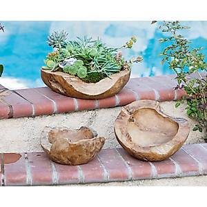 Garden Age Supply Hand Sculpted Natural Reclaimed Teak Wood Bowl Planter (Medium)
