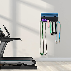 2 Tier Multi-Purpose Storage Rack Resistance Bands Rack Gym Storage Rack Fitness Bands Rack Heavy Duty Rack for Resistance Bands, Straps, Jump Ropes, Foam Rollers, Chains, Weight Belts, Tools