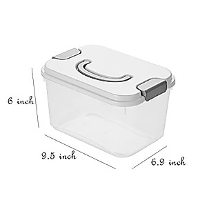 ZHENFAN 5.5 Quart Clear Storage Latch Box/Bin with Lids, 4-Pack Plastic Organize Bins with Handle, 5 Liter