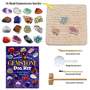 DANCING BEAR Gem Dig Kit - Excavate 16 Gems & Crystals Including Arrowheads, Quartz, Amethyst - STEM Education Gift Set for Kids