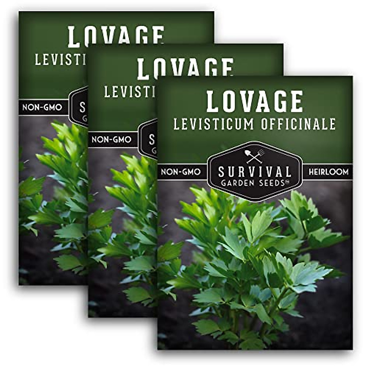 Survival Garden Seeds - Lovage Seed for Planting - 3 Packs with Instructions to Plant and Grow Perennial Levisticum Officinale Culinary Herb in Your Home Vegetable Garden - Non-GMO Heirloom Variety