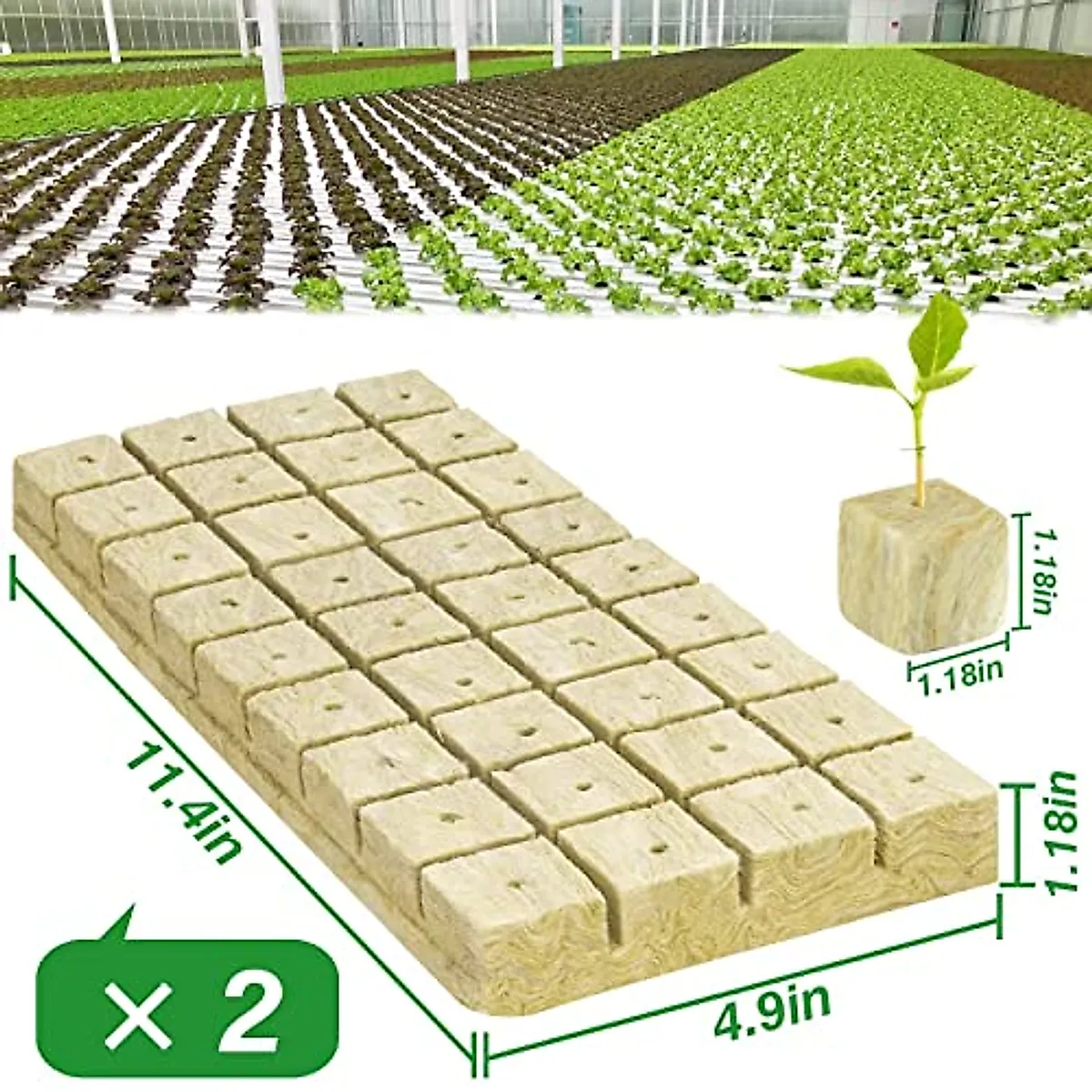 Halatool 1.2 inch Rockwool Cubes 2 Sheets Fluffy Porous Hydroponics Planting Cubes for Soilless Cultivation Seedlings Cuttings Clone Plants (72 Plugs Total)
