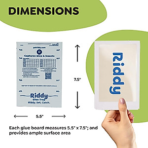 Riddy Glue Boards, 36 Boards, Pre-Baited, Ready to Use Mouse Traps Indoor for Home, Sticky Adhesive for Bugs and Rodents, 5.5" x 7.5"
