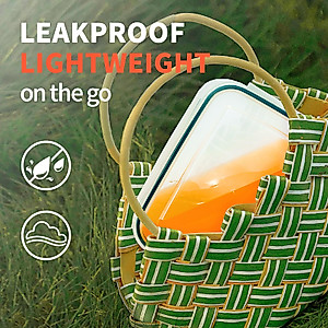 MINDEKA 24 Pieces Large Food Storage Containers, Plastic Food Container Set with Lid for Kitchen Storage Stackable & Nested Airtight Lunch Box for Cereal Fruit Leftover Freezer Microwave Safe