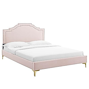 Modway MOD-6850-PNK Adelaide Performance Velvet Twin Bed, Pink Platform