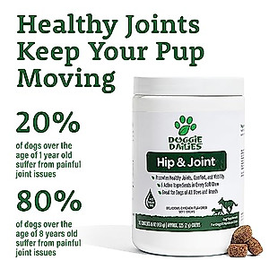 Doggie Dailies Glucosamine for Dogs – 225 Chews – Advanced Joint Supplement for Dogs with Chondroitin, MSM, Hyaluronic Acid & CoQ10 – Premium Dog Glucosamine (Chicken)