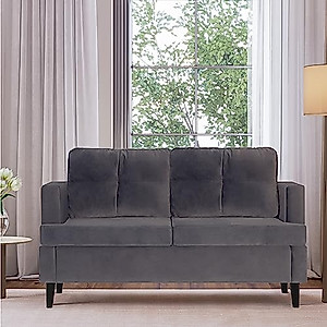 Milliard Loveseat, Velvet Love Seat, Small Couch