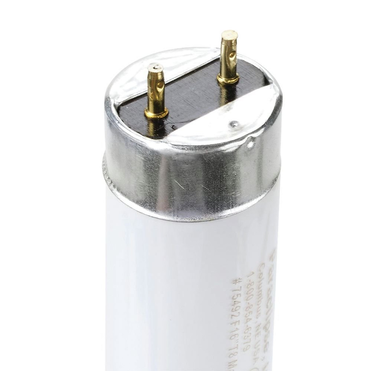 Paraclipse 72651 Replacement Ultraviolet Lamp for Insect Inn Ultra I and II