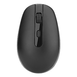 Rii Wireless Mouse RM700 2.4G Silent Mouse with USB Receiver for Laptop,PC,Mac,Chromebook,Windows (Black)