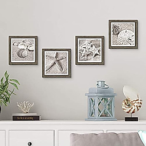 Framed Beach Gallery Wall Art: Starfish Seashell Conch Collection Pictures Prints Set of 4 Wall Decor for Bedroom (Multi-Style)