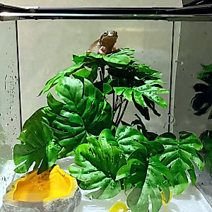 KERUIDENG Reptile Plants for Terrarium Decor,Amphibian Habitat Decor,Artificial Plants for Gecko Chameleon Snake Tortoise Tank Accessories with Base (Monstera deliciosa)