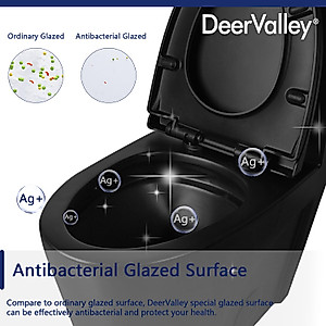 DeerValley Elongated One Piece Toilet, 17.32'' Comfortable Seat Height ADA Toilet with Soft Close Seat, Dual Flush Toilet with High Efficiency 1.1/1.6 GPF, Matte Black Skirted Toilet 12'' Rough-In