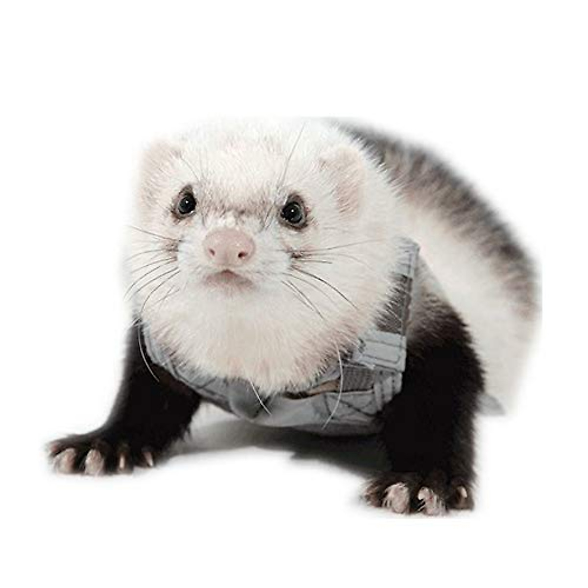 Ferret Clothes Small Animals Harness Military Style Adjustable Shoulder Straps Soft Mesh Comfort Durable Nylon Padded Vest Ferret Guinea Pig Hamster Bunny Kitten Puppy Small Pet Clothes Accessory