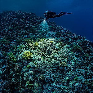 SeaLife Micro 3.0 Pro Dual Beam Set with Sea Dragon 3000SF Pro Dual Beam 3000 COB LED Lumens Photo-Video Light and Micro 3.0 Underwater Camera