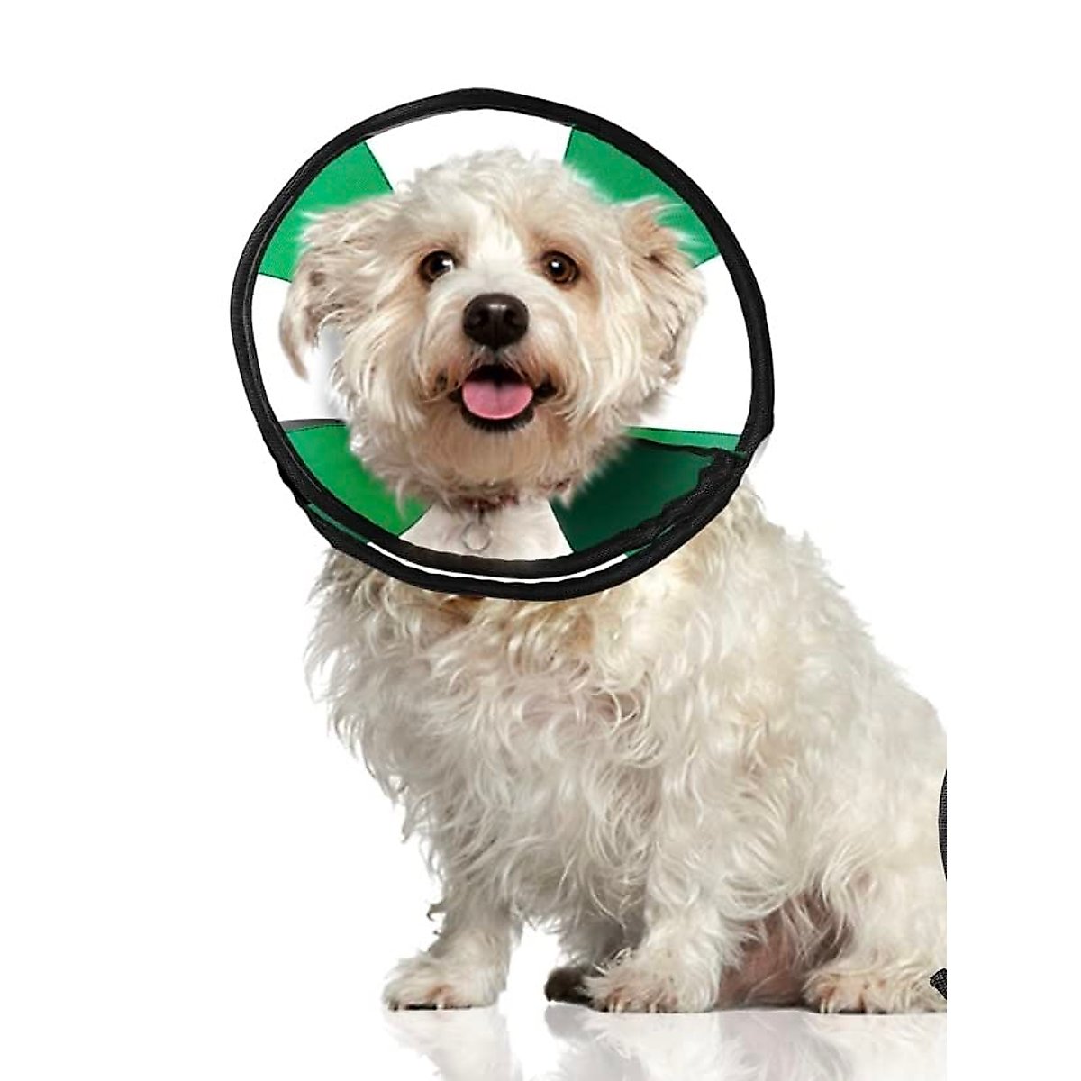 ZenPet ProCone Teal Pet E-Collar for Dogs and Cats - Comfortable Soft Recovery Collar is Adjustable for a Secure and Custom Fit - Easy for Pets to Eat and Drink - Works with Your Pet's Collar (Small)