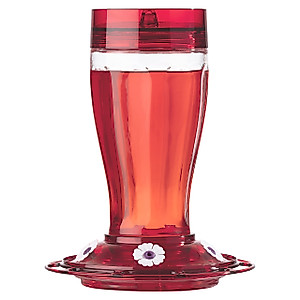 More Birds Bird Health+ Big Gulp Hummingbird Feeder, Glass Hummingbird Feeders for Outdoors, 5 Feeding Stations, 40 Ounces