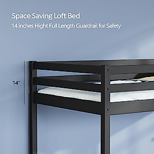 Bonnlo Low Loft Bed Twin Size with Inclined Stairs, Junior Loft Bed with High Guard Rail for Kids/Young Teens/Adults, Solid Wood Low Bunk Bed Twin Size Black, No Box Spring Required