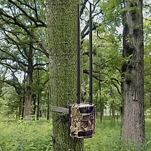 Eightwood 4G LTE Antenna 9dbi RP-SMA Antennae Compatible with Spypoint Link Tactacam Stealth Cellular Trail Camera Outdoor Wildlife Hunting Game Cam Security Camera (2-Pack)