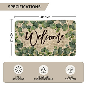 Artoid Mode Eucalyptus Summer Welcome Doormat, Seasonal Spring Summer Low-Profile Yard Floor Switch Mat for Indoor Outdoor 17 x 29 Inch