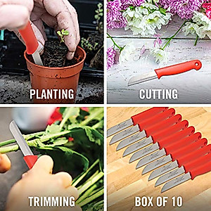 Clauss 18424 fixed blade Floral Knives, Comes in a Box of 10 Stainless Steel Straight Knife, B000XBBKY6