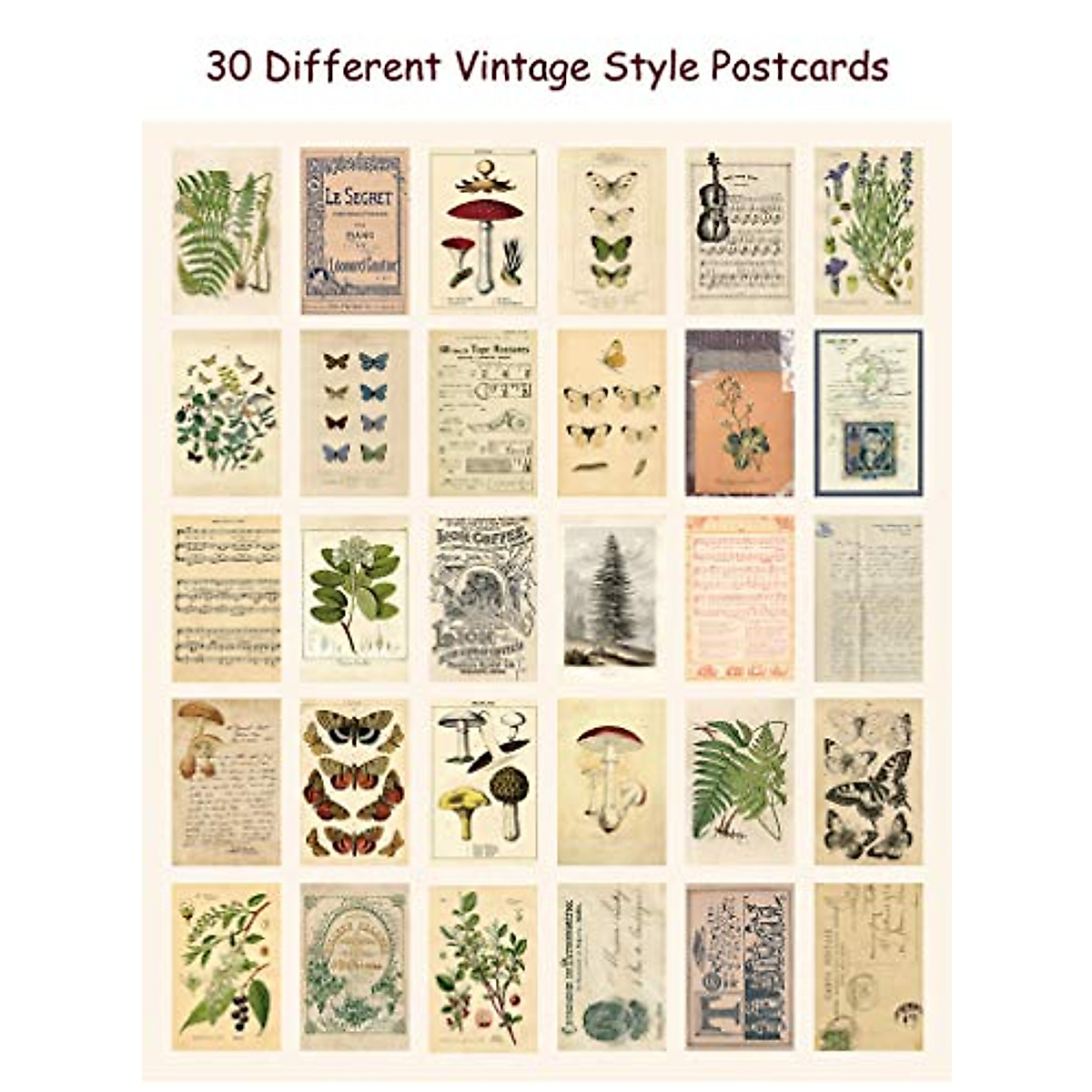 Knaid Vintage Style Postcard Set, Pack of 30 Botanical Plants Butterfly Mushroom Leaves Fruits Retro Postcards
