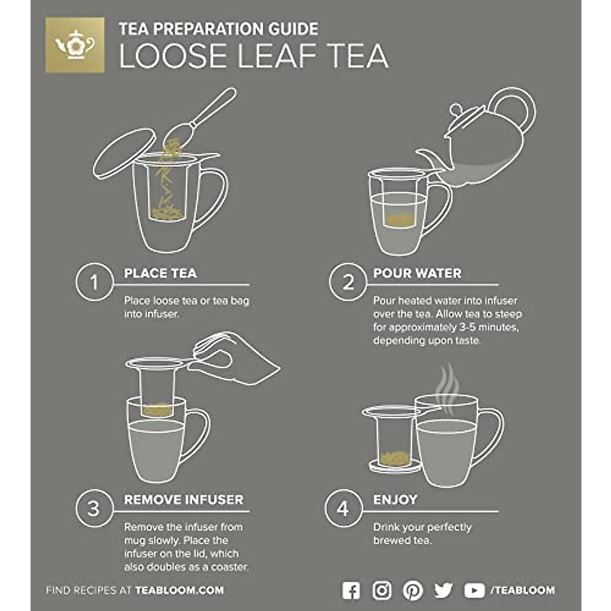 Teabloom Double-Wall Heatproof Glass Mug with Stainless Steel Infuser and White Lid – 15 OZ / 430 ML – 2 Blooming Teas Included