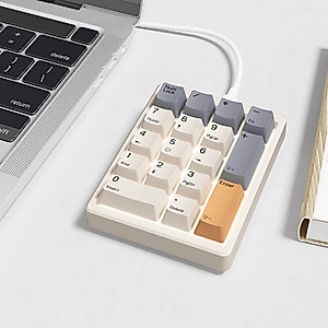 Kisnt Mechanical Number Pad,Hot Swappable Numpad Wired USB 17 Keys Keypad White Backlit Numeric Keypad with PBT Keycaps for Laptop PC Compact Keyboards(Retro Beige, Blue Switch)