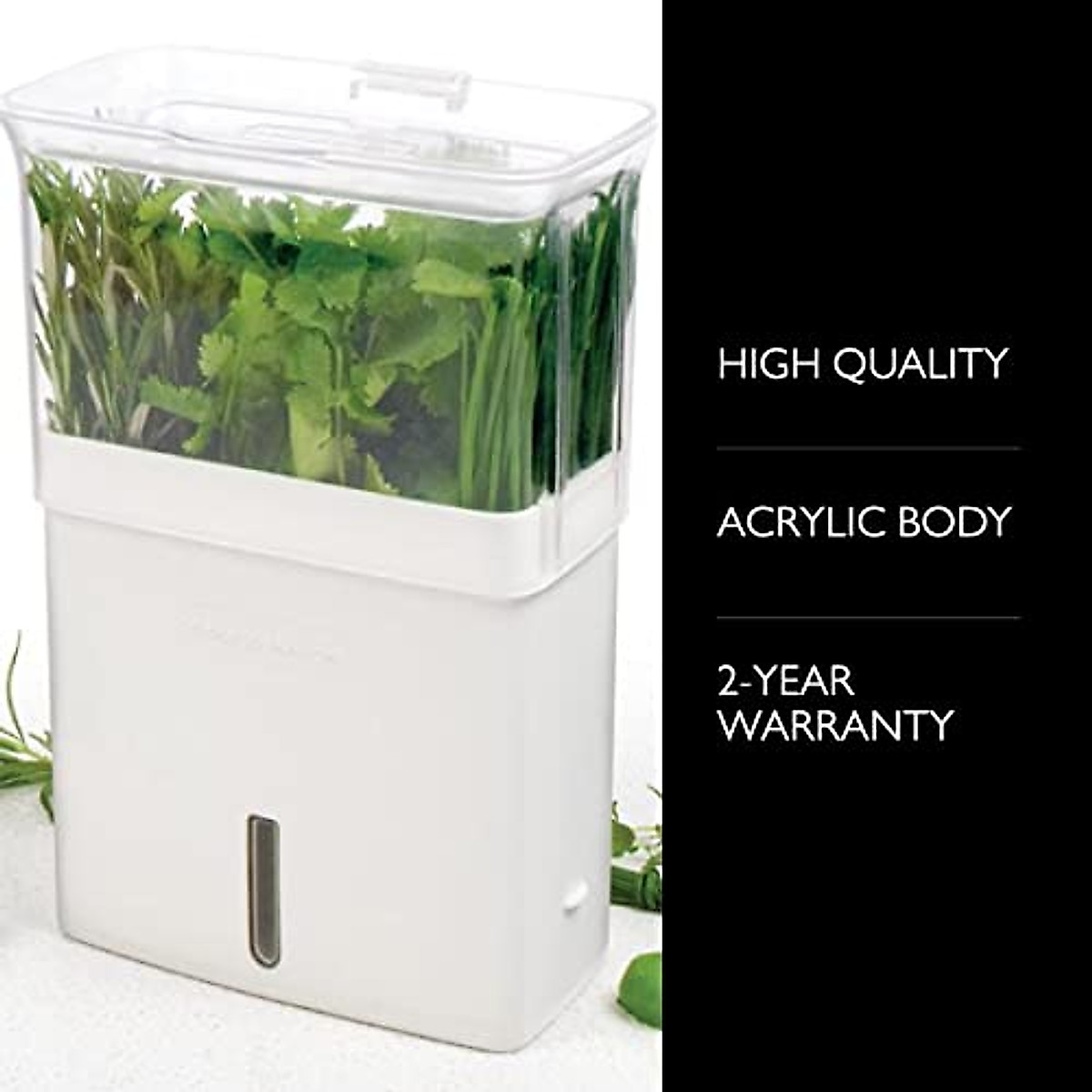 COLE & MASON Fresh Herb Keeper, Container, Clear