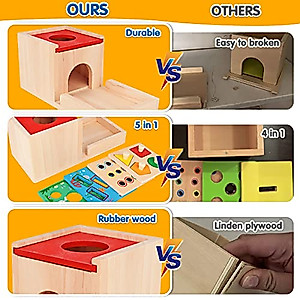 Montessori Toys for 1 2 3 Year Old, 5 in 1 Wooden Montessori Toys for Babies 6-12 Months, Toddler Toys Kit Includes Object Permanence Box with Ball Drop Toy, Shape Sorter & Other Educational Toys
