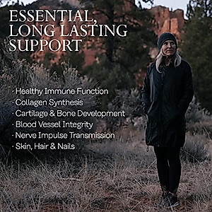 SOLARAY Vitamin C 500mg w/ Rose Hips, Acerola & Bioflavonoids, Timed-Release, Healthy Immune System Support, 250 VegCaps