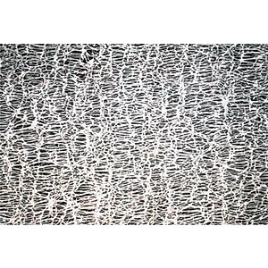Advantec MFS J100A047A Hydrophobic Membrane Filter, Supported, 47 mm Diameter (Pack of 100)