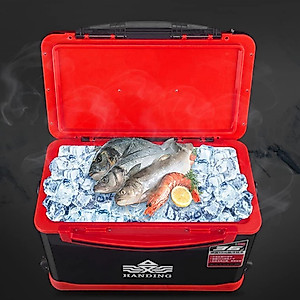 Fishing Box, Portable 36L Full Set of Ultra-Light and Multi-Functional Table Fishing Box with Hidden Backrest, Four-Leg Lift, for Outdoor Camping Competition