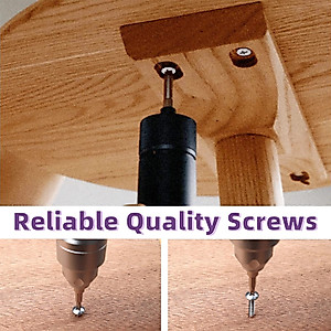 Swpeet 435Pcs 3 Types #6#8#10 SAE 304 Stainless Steel Round Pan Head and Phillips Flat Head Self Tapping Sheet Metal Screws Wood Screws with 410 Stainless Steel Truss Head Fast Self Tapping Screws