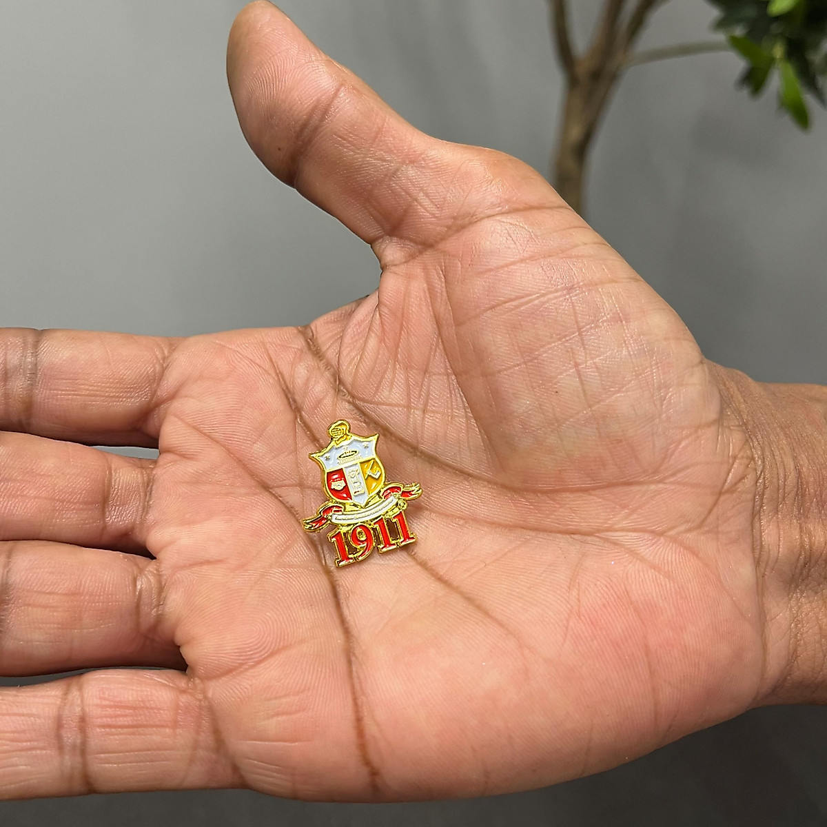 Desert Cactus Kappa Alpha Psi Lapel Pin Enamel Greek Letter Fraternity Formal Wear Blazer Jacket Nupe (Crest Over Year)