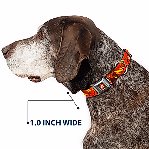 Buckle-Down Dog Collar Seatbelt Buckle The Flash Boom Kaboom, Multi Color, 1.5" Wide - Fits 16-23" Neck - Medium (DC-WFL003-WM)