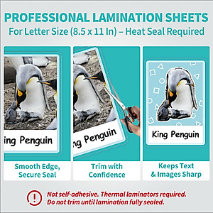 Binditek 100 Pack Thermal Laminating Pouches,3mil Laminating Sheets,9x11.5 Inches, Letter Size , Clear,HeatSeal