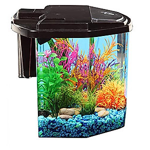Koller Products Plastic 3-Gallon Aquarium Starter Kit with 7 Colors LED Lighting and Complete Filtration, Ideal for a Variety of Tropical Fish , Betta Fish, Tropical Fish, Cichlids, Ornamental Shrimp