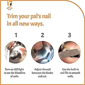 Pawsibility - Reinvented Pet Nail Clippers for Your Pal - Ultra Bright LED Light for Bloodline | Razor Sharp and Durable Blade | Vets Recommended Trimming Tool for Dogs and Cats