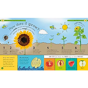 My Encyclopedia of Very Important Things: For Little Learners Who Want to Know Everything (My Very Important Encyclopedias)