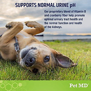 Pet MD Lawn Aid Chews - No More Yellow Spots Dog Urine Neutralizer for Lawn - pH-Balancing Helps Prevent Dog Pee from Killing Grass - Enhanced with Digestive Probiotics for Dogs & Puppies - 120 ct