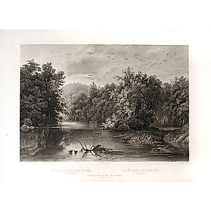 Forest Scene on the Lehigh (Pennsylvania)