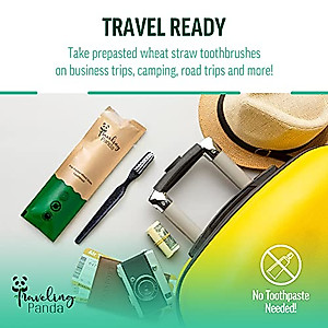 Traveling Panda Wheat Straw Toothbrushes Bulk, Soft Bristles Toothbrush with Toothpaste Built in, Travel Toothbrush Kit, Essentials for on The Go Teeth Brushing, 25 Mini Brushes