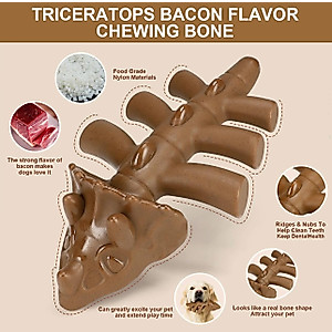 Durable Dog Chew Toy for Aggressive Chewers, Dinosaur Shape, Medium, Beef Flavor.