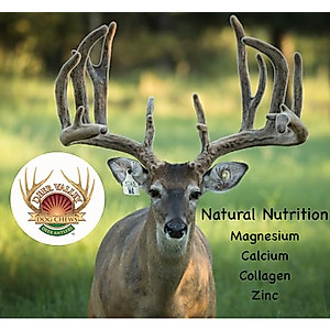 Deer Valley Dog Chews - Single Split Antler Chews (Large Size, 6-8 Inches Long) All Natural Dental Treat for Teething and Chewing - Premium Grade, Naturally Shed, USA (Single)