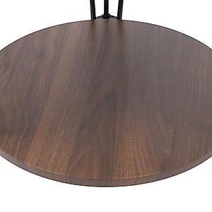 PaNeTnya 2-Tier Small End Table,Round Sofa Side Table with Storage Shelf and Metal Frame,Nightstand Bedside Table for Home Living Room Bedroom