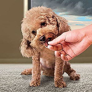 KONG - Calming Chews 28 Pieces - Natural Soft and Chewy Dog Calming Treats for Anxiety, Stress & Separation, Fireworks and Thunderstorms Aid & Relief - for Medium/Large Dogs Greater Than 36 lbs