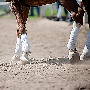 Y.J TAILS Horse Polo Wraps Soft Fleece Polo Wraps Equestrian Leg Bandage Wrap Set of 4 Packs (White)